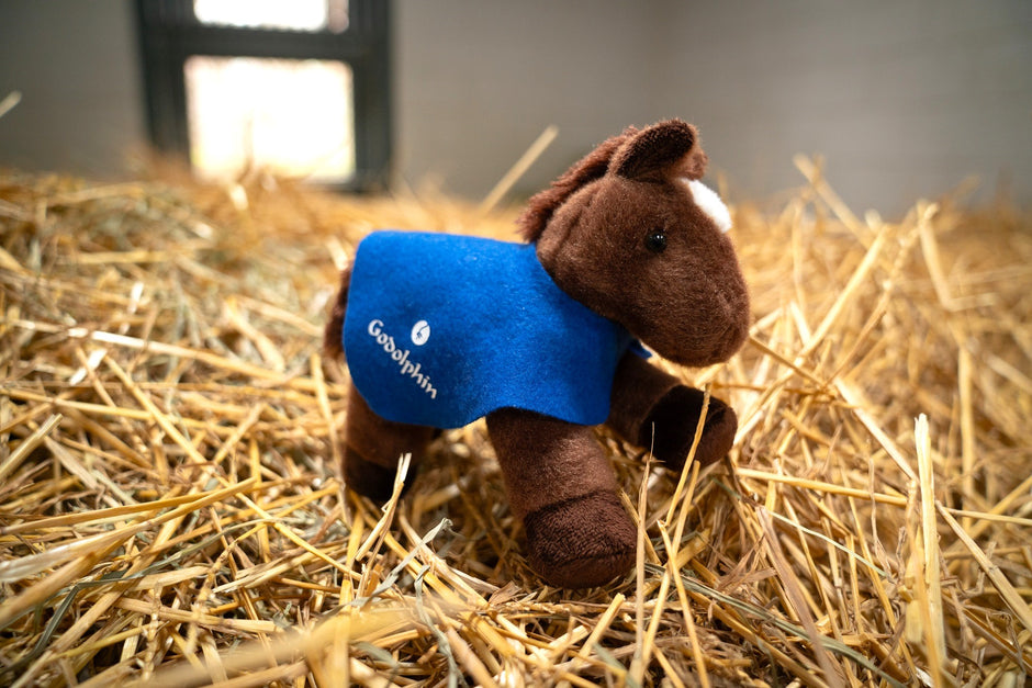 The US Godolphin Shop – Godolphin America